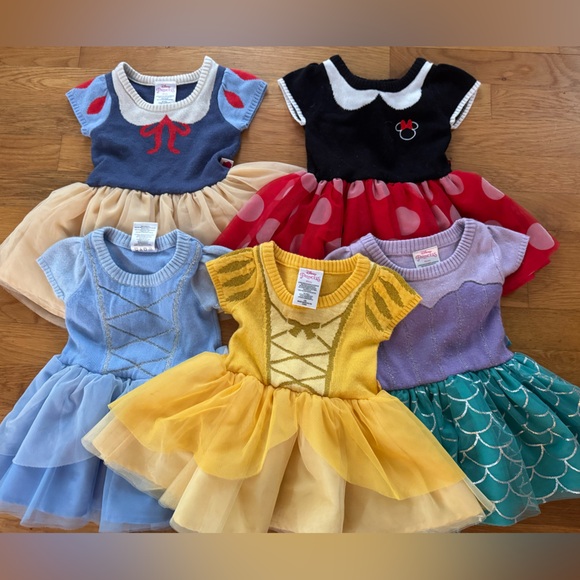 Disney | Costumes | Disney Princess Dress Set | Poshmark